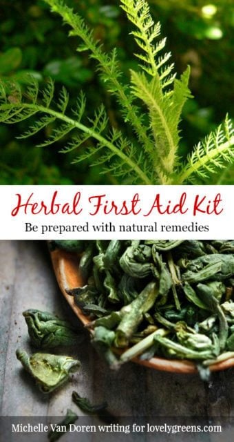 5 Herbs for Your Herbal First Aid Kit • Lovely Greens