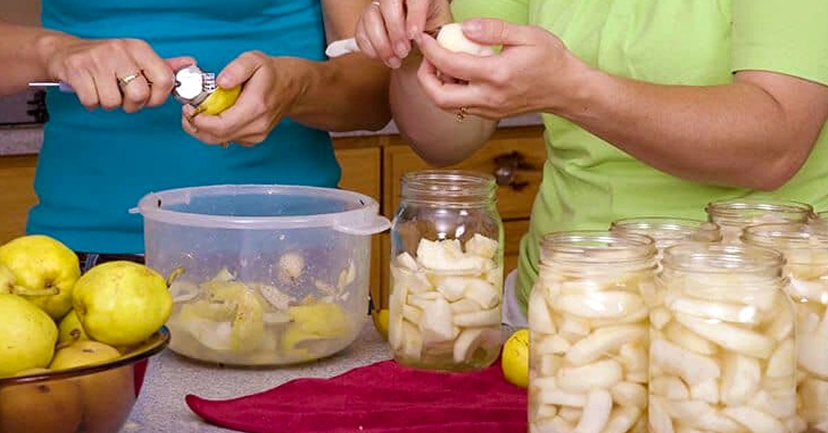 Canning and Preserving Food for Beginners