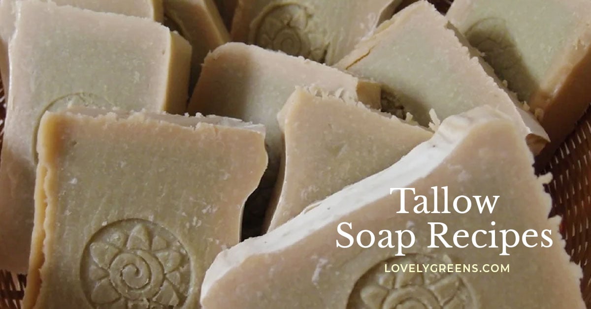 Tallow Soap Recipes • Lovely Greens