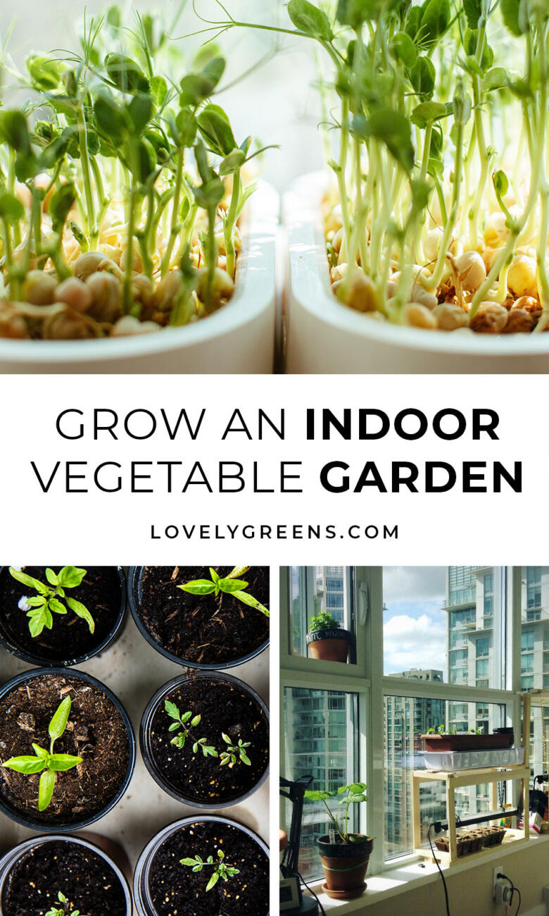 Useful Tips for How to Grow an Indoor Vegetable Garden • Lovely Greens