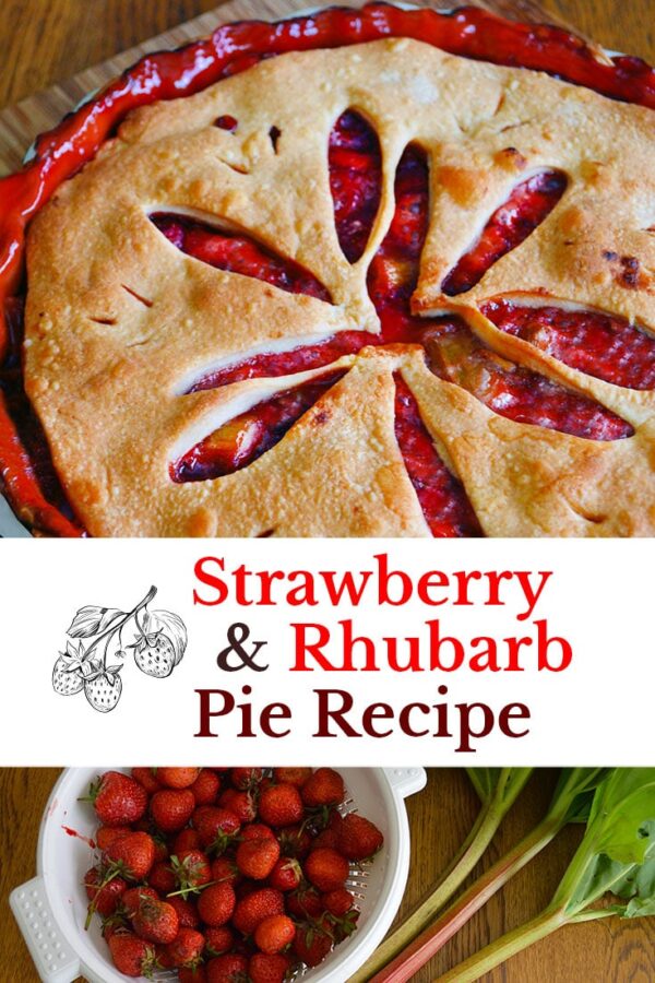 The Best Strawberry & Rhubarb Pie Recipe • Lovely Greens