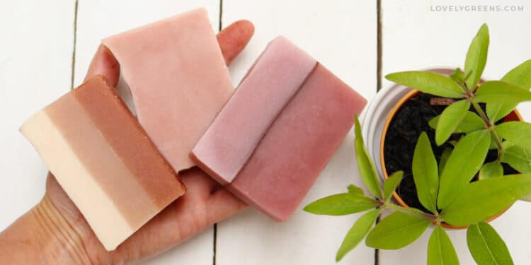 4 Ways to Make Naturally Pink Madder Root Soap Recipes