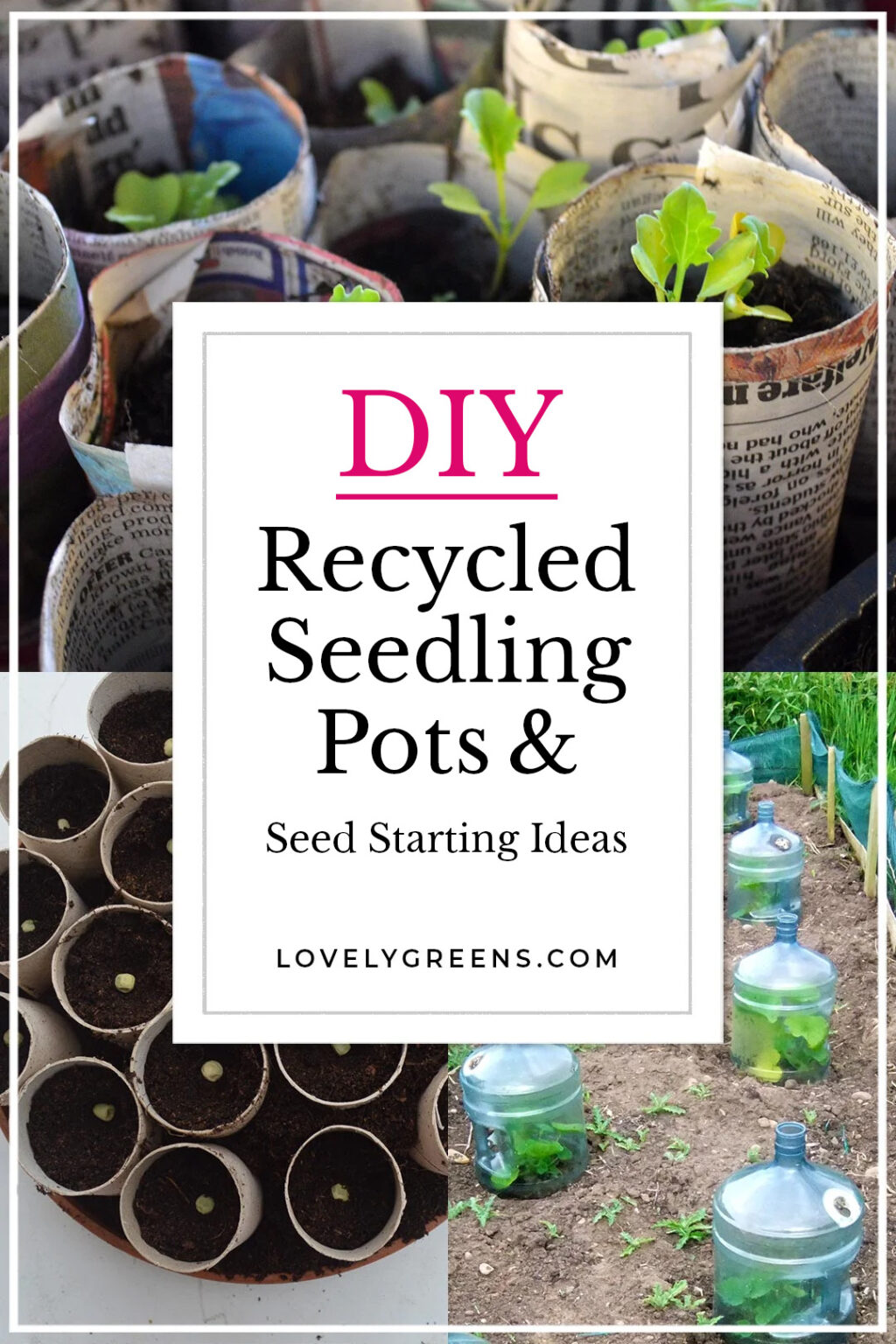 DIY Recycled Seedling Pots & Seed Starting Ideas • Lovely Greens