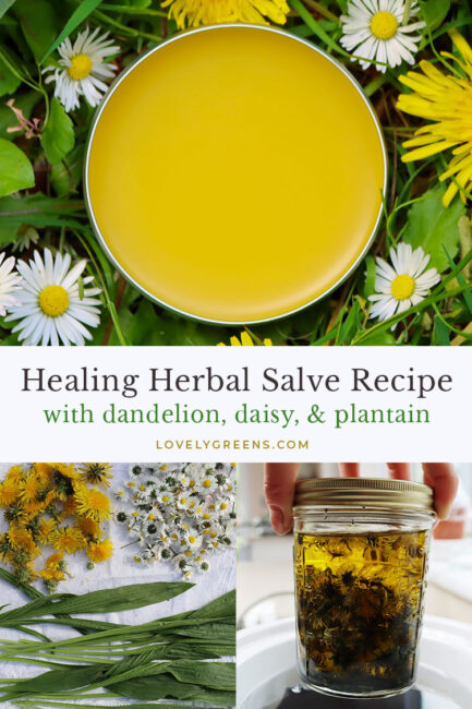 Wildflower Herbal Salve Recipe • Lovely Greens
