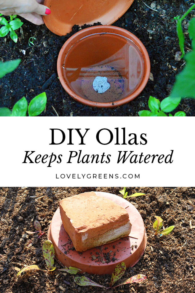 Make DIY Ollas Using Terracotta Pots