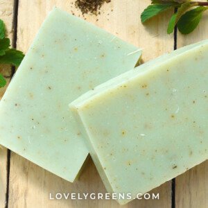 How to Make Peppermint Soap (cold process) • Lovely Greens